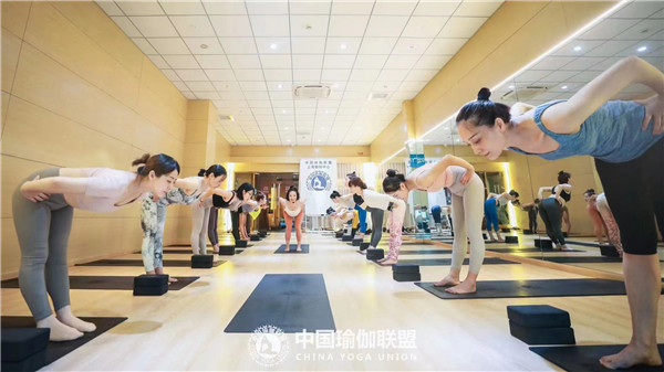 怎么考瑜伽教练证才好 中国瑜伽联盟上海虹桥总校区 哔哩哔哩