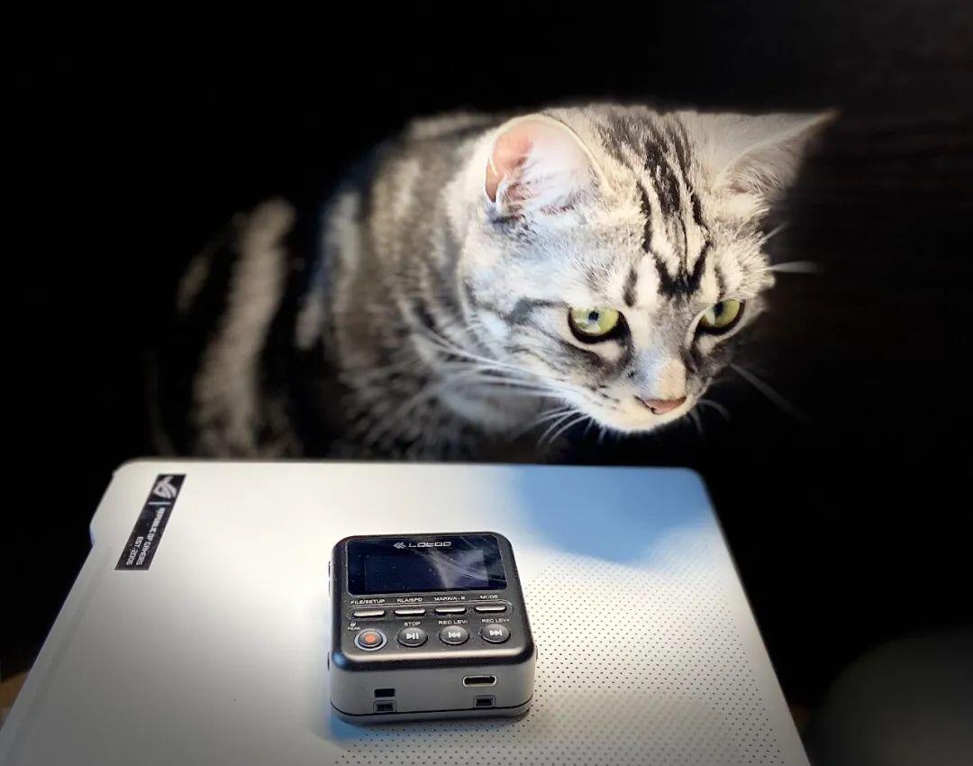 好玩；不止好玩：浅谈乐图PAW1与LE-M1 - 哔哩哔哩