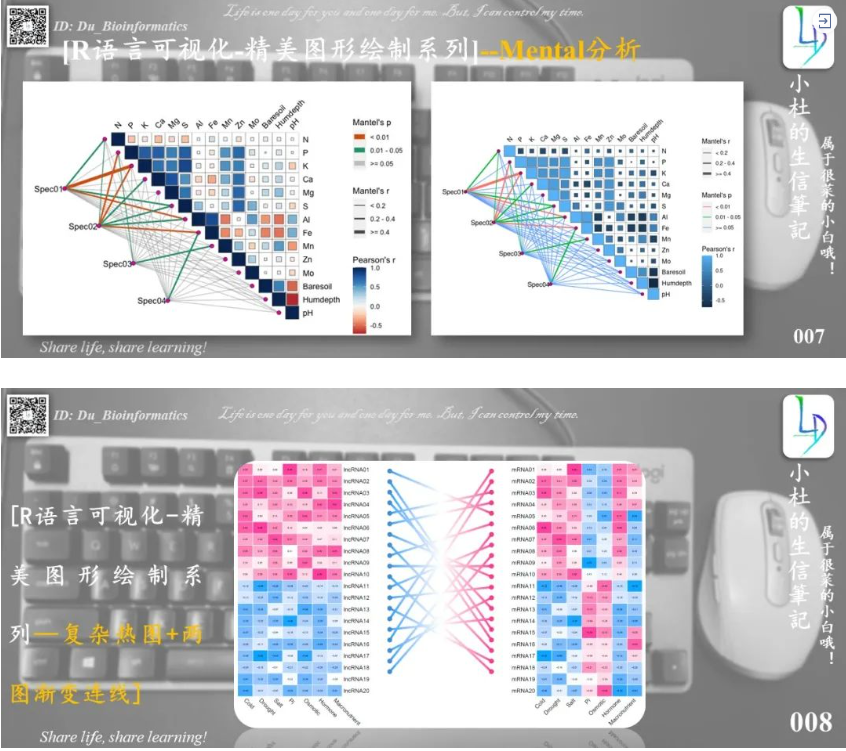 R语言可视化-精美图形绘制系列--GO、KEGG富集通路关联图 - 哔哩哔哩