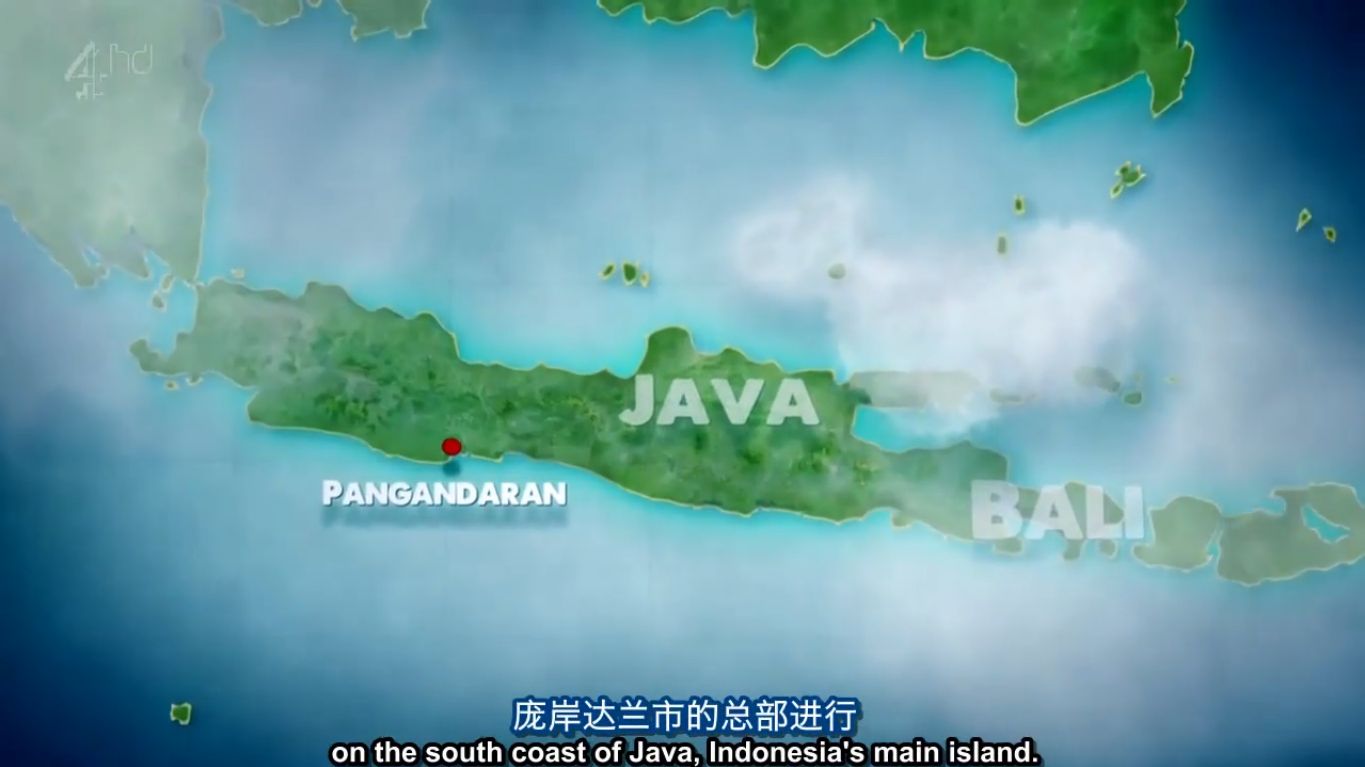 Java FightGame 