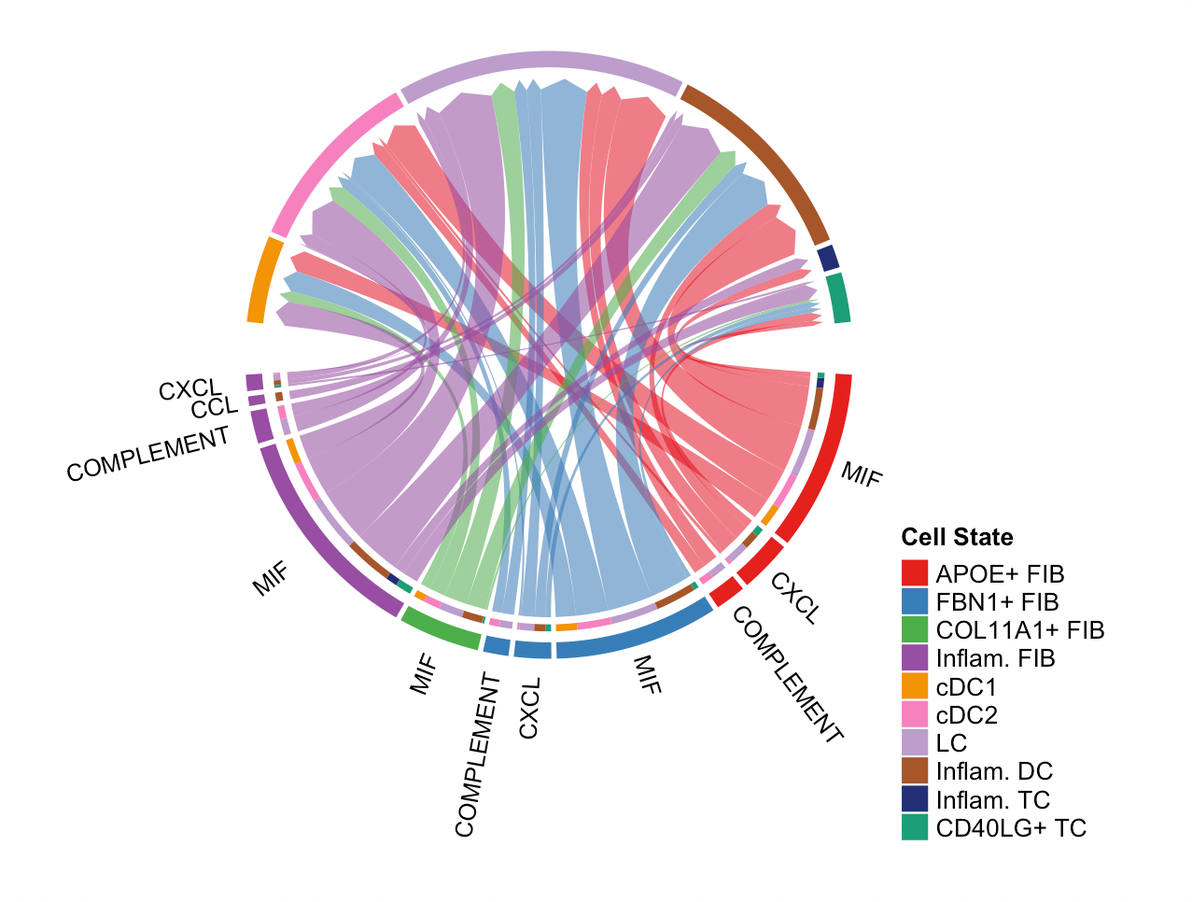 【单细胞测序】cellchat详解，v1.1.3（20210814更新版本），单个对象的分析 - 哔哩哔哩