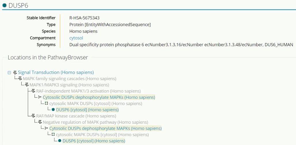 你一直没学会的科研技能——GO分析和Pathway分析 - 哔哩哔哩