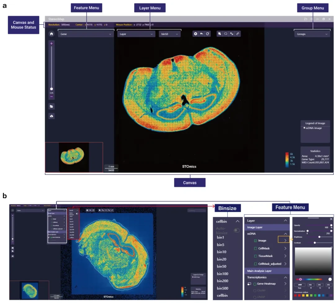 Stereo-seq CellBin多样化场景及结果交互式操作 - 哔哩哔哩