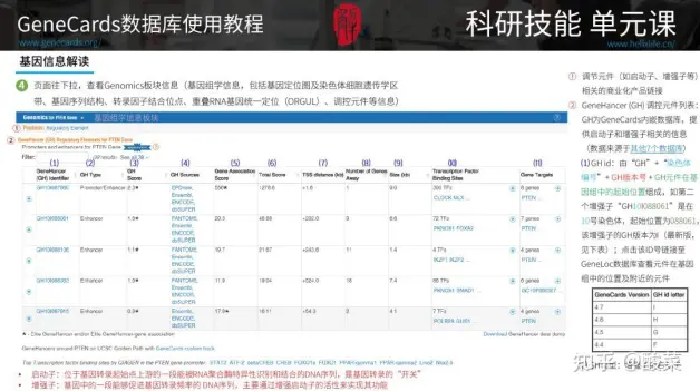 轻松获取基因全部信息，GeneCards数据库使用教程 - 哔哩哔哩