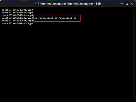 极空间配置TMM（TinyMediaManager）全自动刮削教程 - 哔哩哔哩
