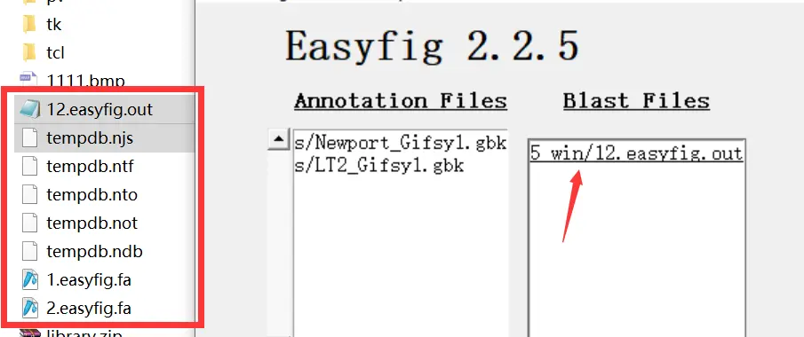 Easyfig 在windows系统的下载、安装和初步共线性比对 - 哔哩哔哩
