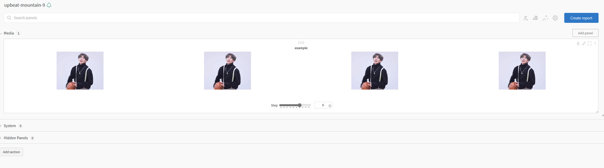 可视化神器Wandb使用笔记 - 哔哩哔哩