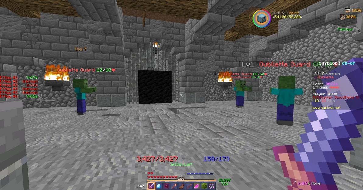 Hypixel Skyblock Rift：吸血鬼slayer攻略 - 哔哩哔哩