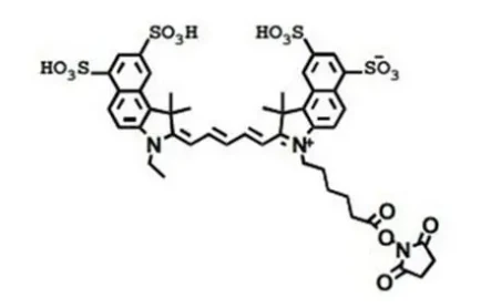 水溶Sulfo-Cyanine5.5 NHS ester；磺酸基CY5-活性酯；cas:2419286-92-1 - 哔哩哔哩