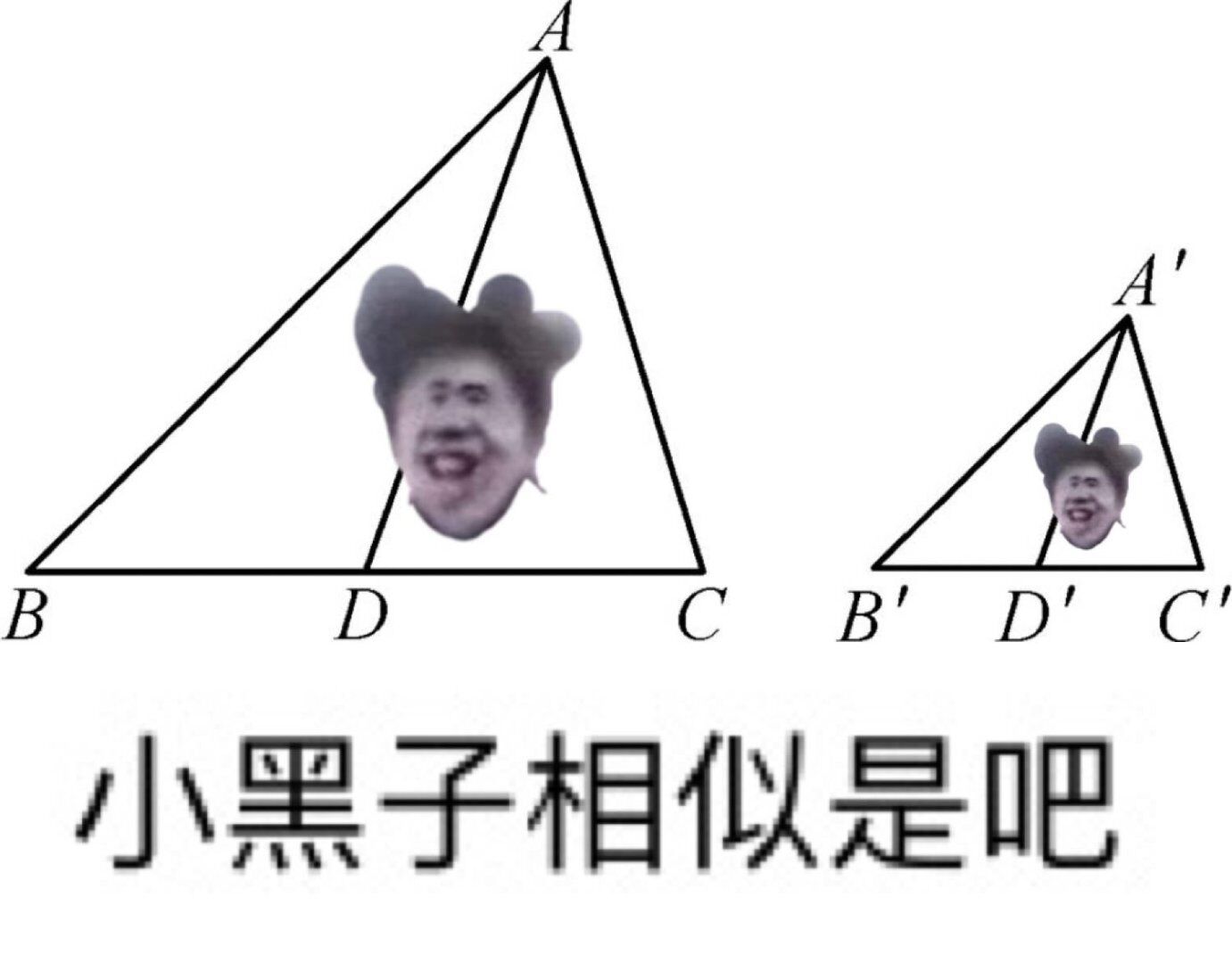 【ikun】蔡徐坤表情包第一弹 - 哔哩哔哩