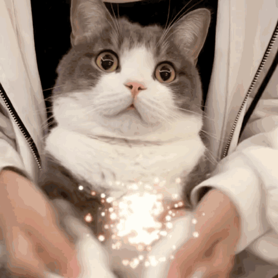 【临摹素材】——女仆姿势参考来了！ - 哔哩哔哩