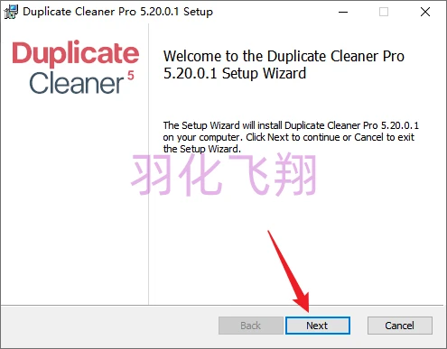Duplicate Cleaner Pro 5.20.1软件安装教程(附软件下载地址) - 哔哩哔哩