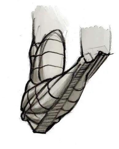 Ron Lemen 讲解人体前臂结构 - 哔哩哔哩