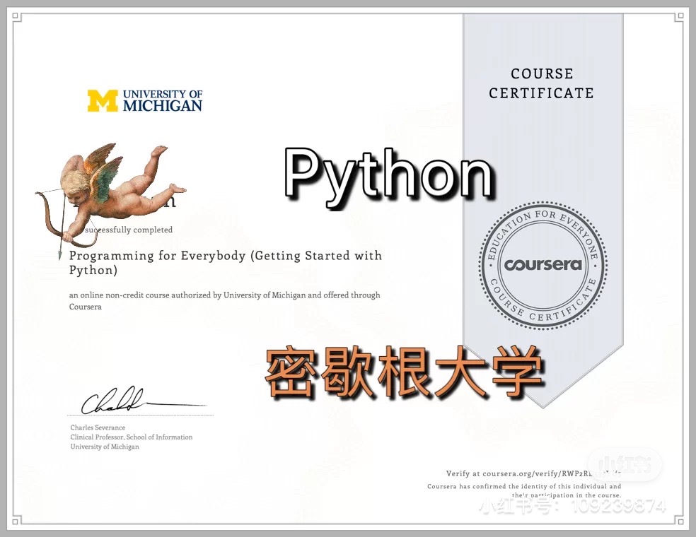 Coursera｜编程Python入门介绍+助学金申请步骤 - 哔哩哔哩