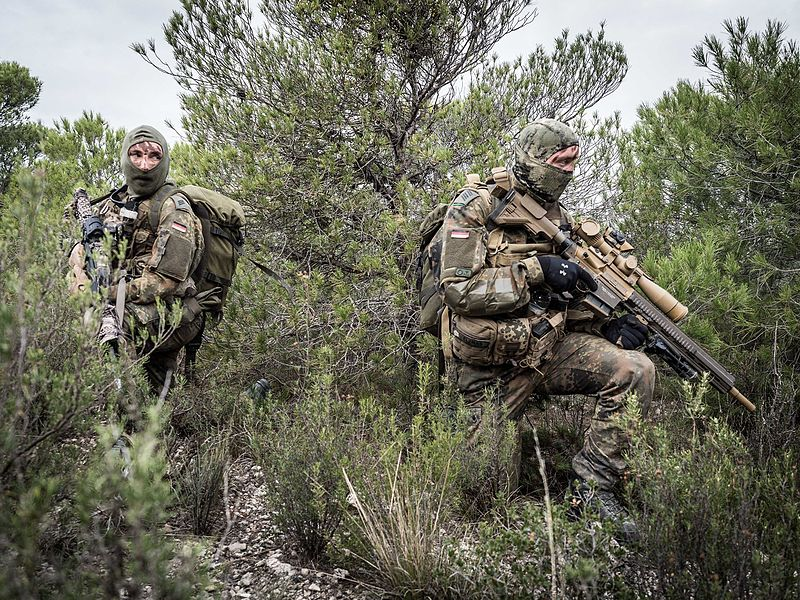 【入门军事科普#13】-- 德国HK G28狙击步枪 - 哔哩哔哩