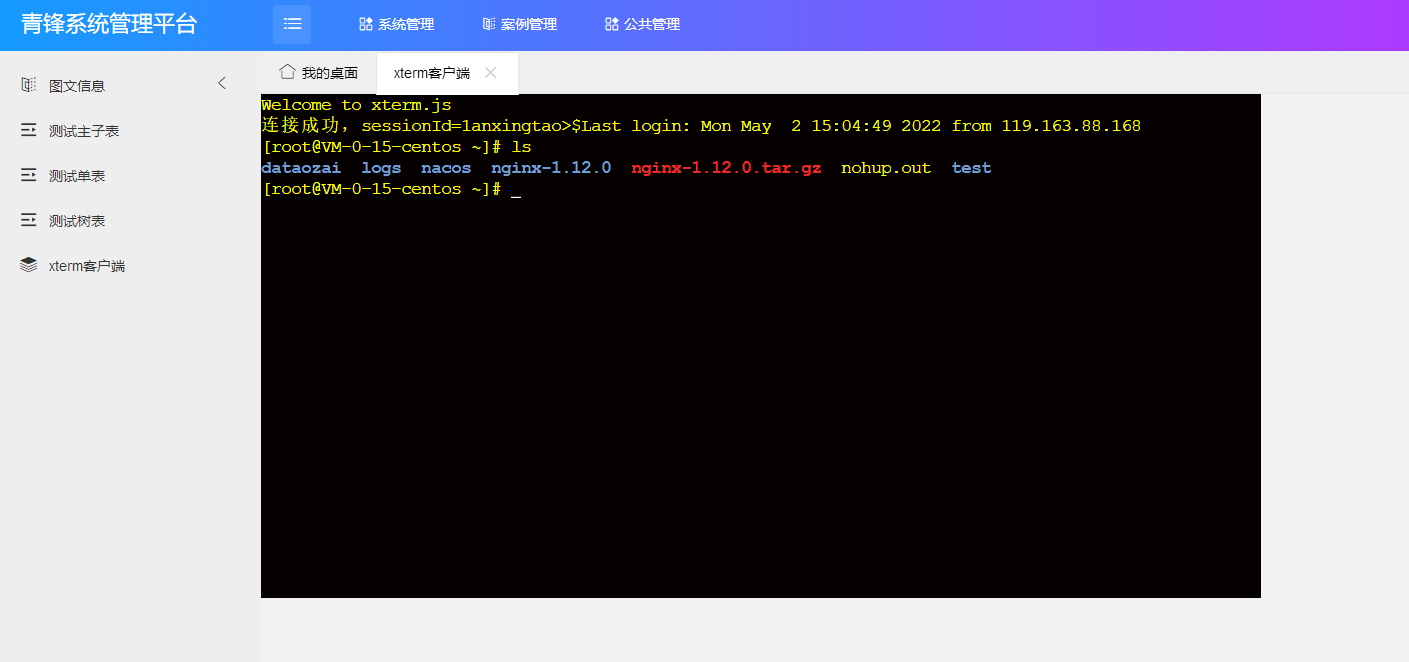 Springboot Websocket实现html端整合xterm Js实现客户端(二) 哔哩哔哩