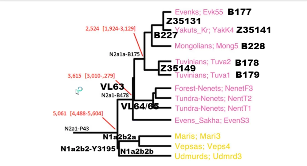 前-匈奴人口的形成及N1a2的扩张 - 哔哩哔哩