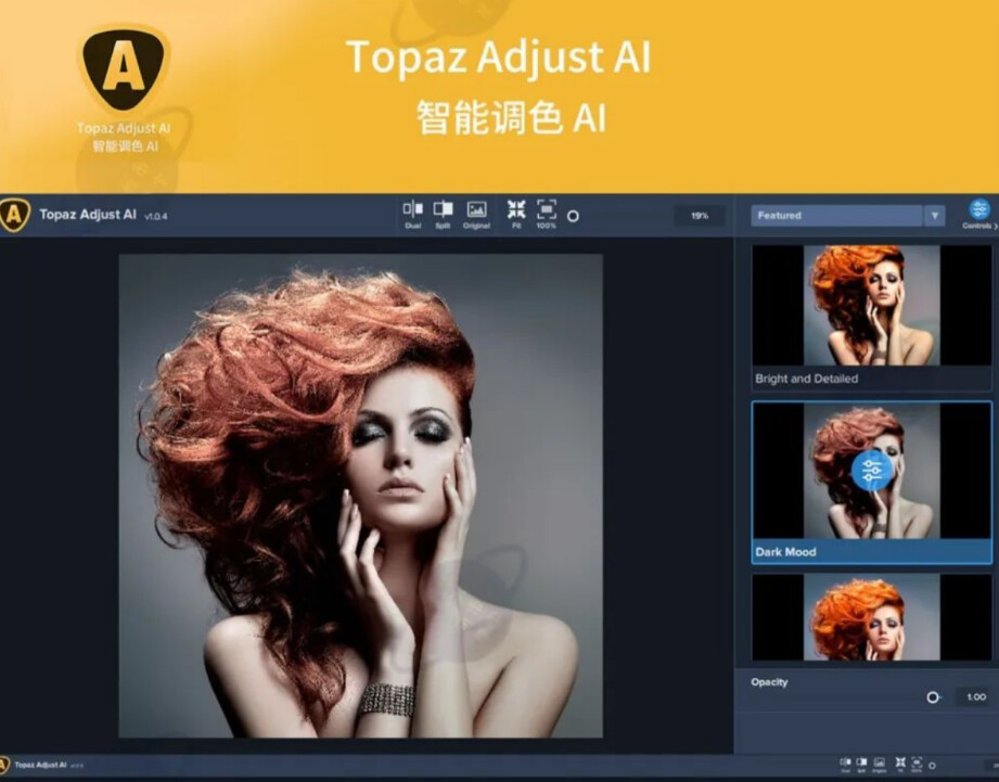 Topaz Ai全套汉化软件（8套全）全家桶【WIN+MAC】 - 哔哩哔哩