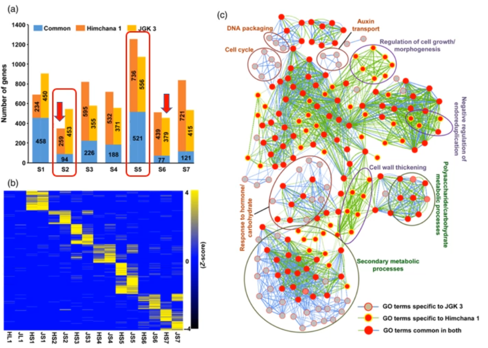 WGCNA学习：WGCNA应用场景与实例解读 - 哔哩哔哩
