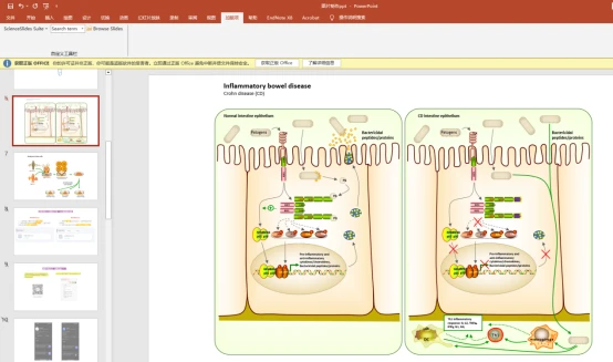 打破信息差之后，原来这11个免费工具都比Figdraw更好用！ - 哔哩哔哩