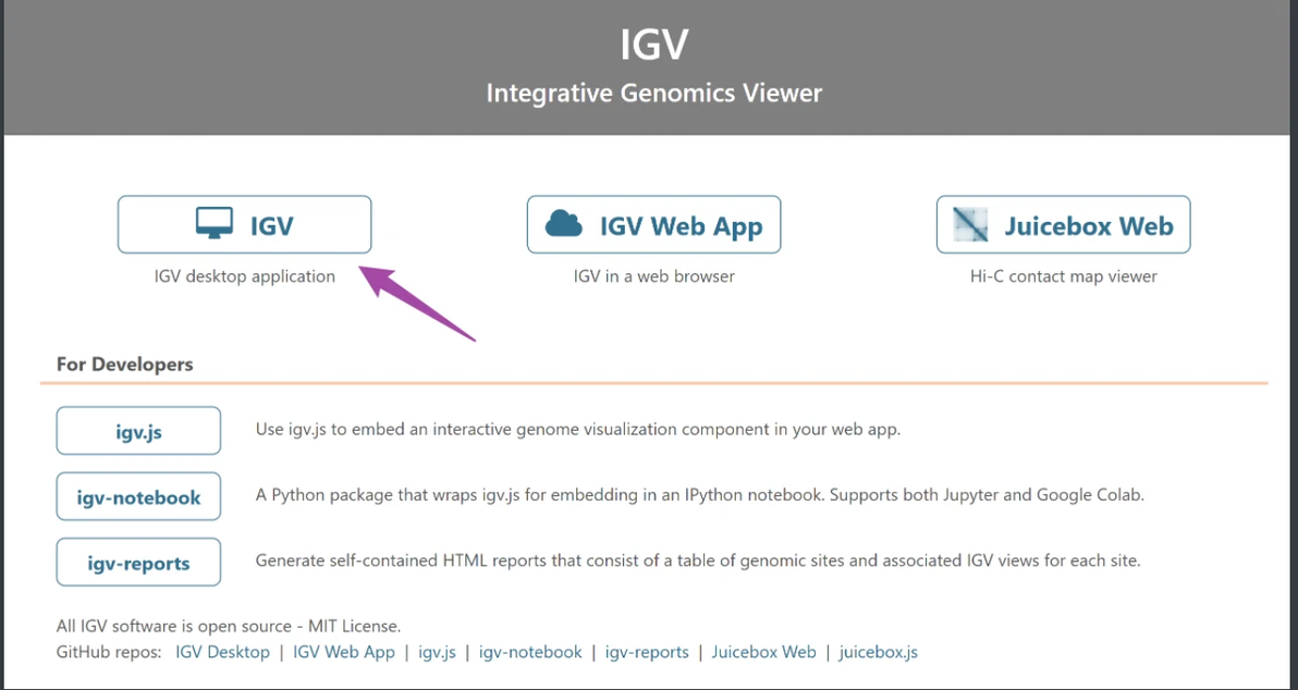 生信初学者-如何正确下载IGV软件（windows版本）全网可读性最强，手把手教学 - 哔哩哔哩