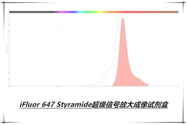 iFluor 647-Styramide，Alexa Fluor 647酪酰胺的试剂盒，含有山羊抗兔IgG - 哔哩哔哩