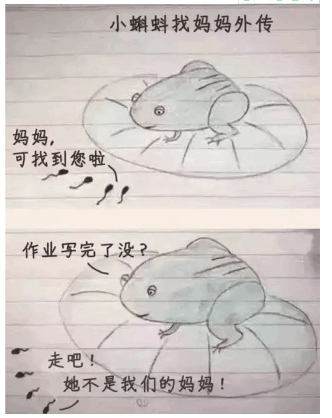 【高能】【令人哭笑不得的熊一家】到底是人性沦丧还是道德的崩坏? 哔哩哔哩