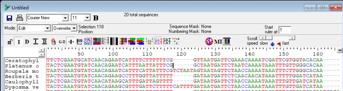 个人学习记录：建树流程1——bioedit的序列编辑及MEGA的使用 - 哔哩哔哩