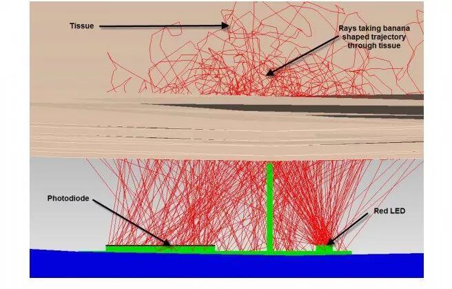 【技术文章】TracePro光学设计案例:可穿戴设备心率、血氧饱和度测试的光学设计 - 哔哩哔哩