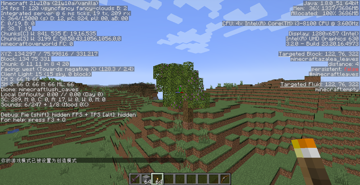 21w10a发布了！加入繁茂洞穴及新的深板岩变种！ - 哔哩哔哩