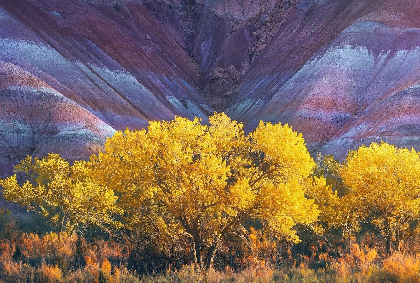 美国摄影师Marc Adamus世界顶级自然风光摄影作品欣赏大全 - 哔哩哔哩