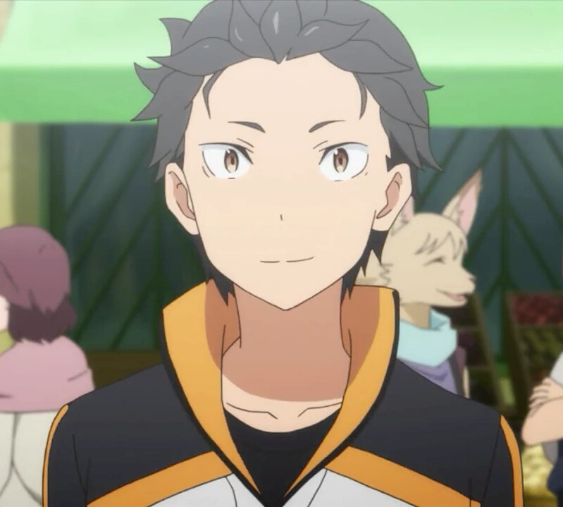 权由心生——对魔女因子持有者性格与权能的深度分析及总结之十五（菜月昴篇） - 哔哩哔哩