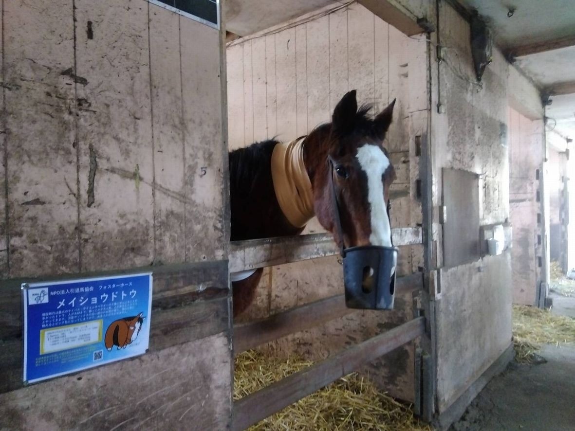 名将怒涛近况 2024年3月28日 - 哔哩哔哩