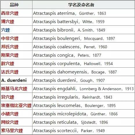 趣闻 | 科学家在非洲发现新蛇种 可不张嘴攻击目标 - 哔哩哔哩