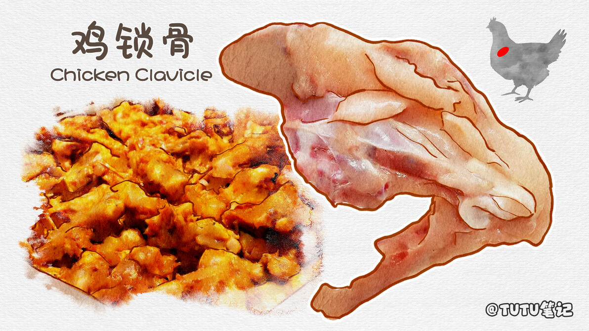 你吃过鸡车子么？原来一只鸡的肉有这么多种分类！建议收藏！ - 哔哩哔哩