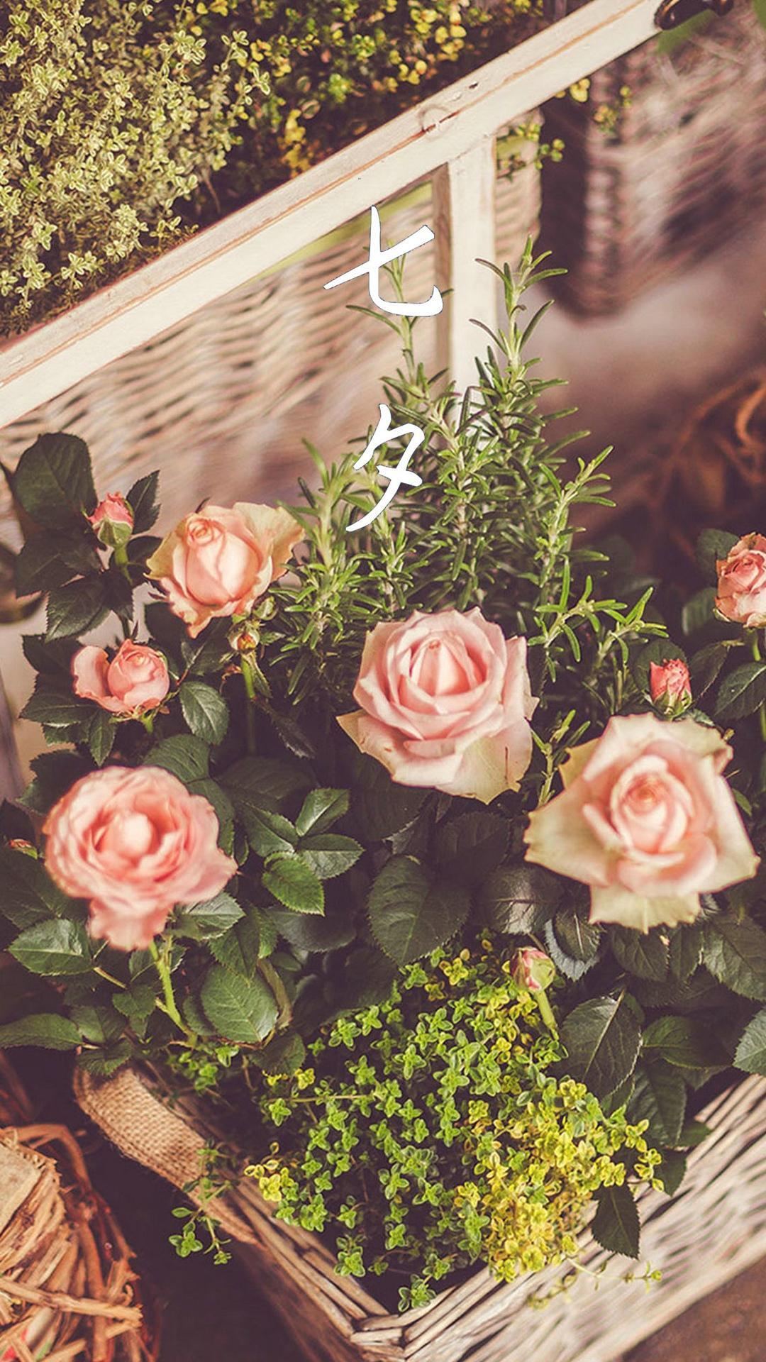 【美图分享125】七夕玫瑰特辑~~我将玫瑰藏于身后，期盼与你赴约 - 哔哩哔哩