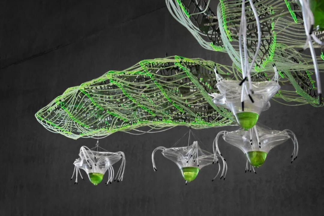 CY TALK | 生物设计科学怪人 ecoLogicStudio 如何运用藻类融入我们的生活 - 哔哩哔哩