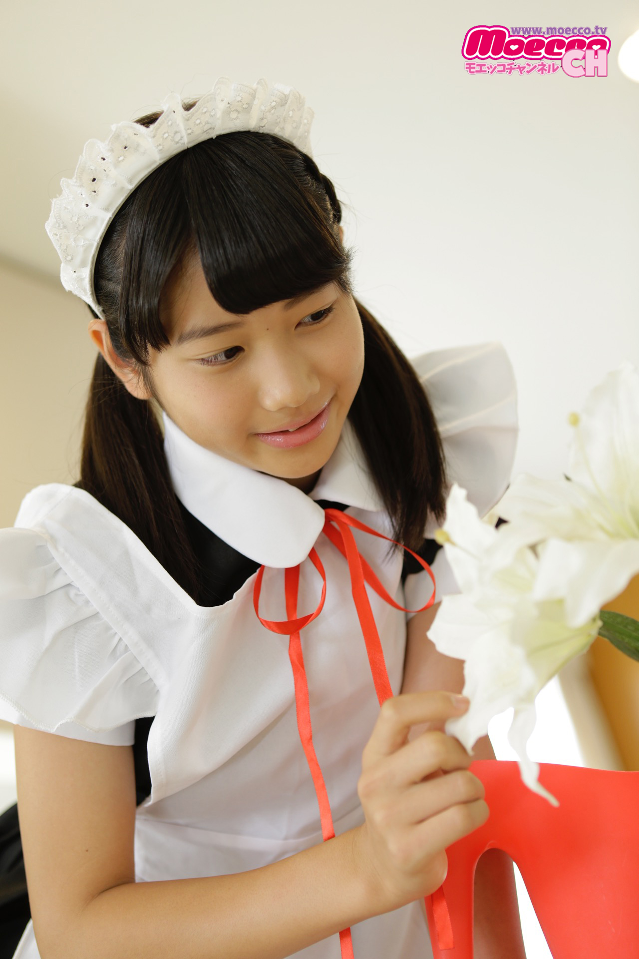 星七虹心 Nico Hoshina - 哔哩哔哩