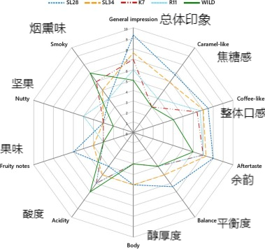 用一篇文章带你了解肯尼亚咖啡品种SL28&34、K7、Ruiru11 不同之处 - 哔哩哔哩