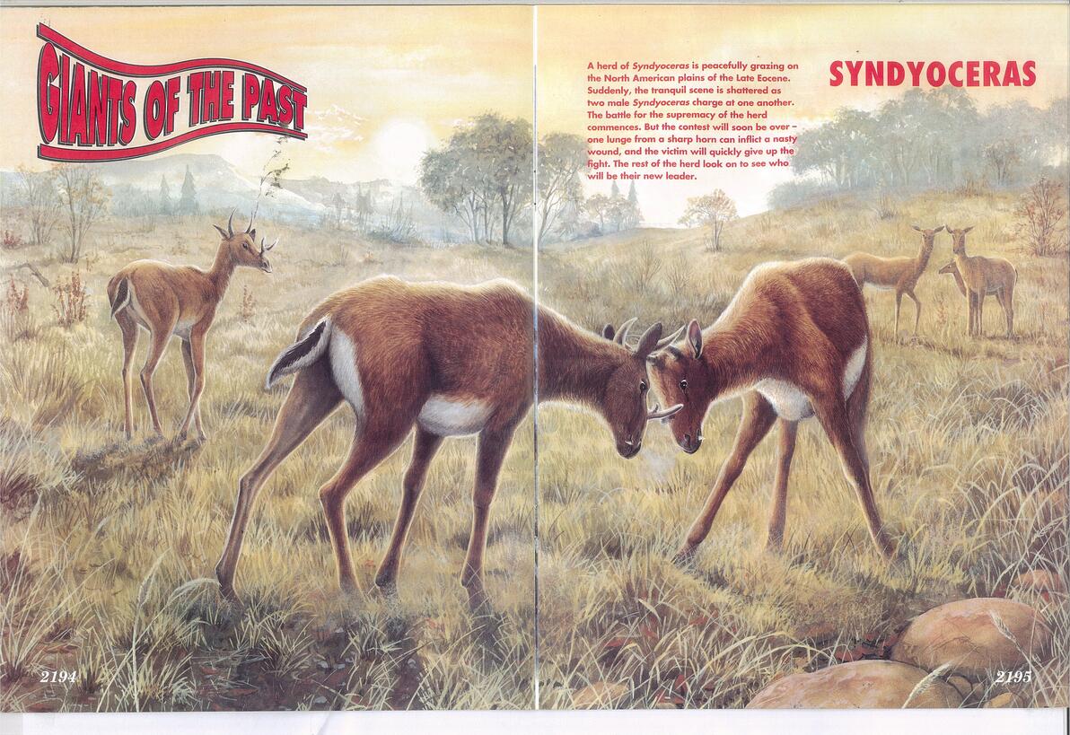 《恐龙!》第92期 四角鹿、晓龙、南漳龙 - 哔哩哔哩