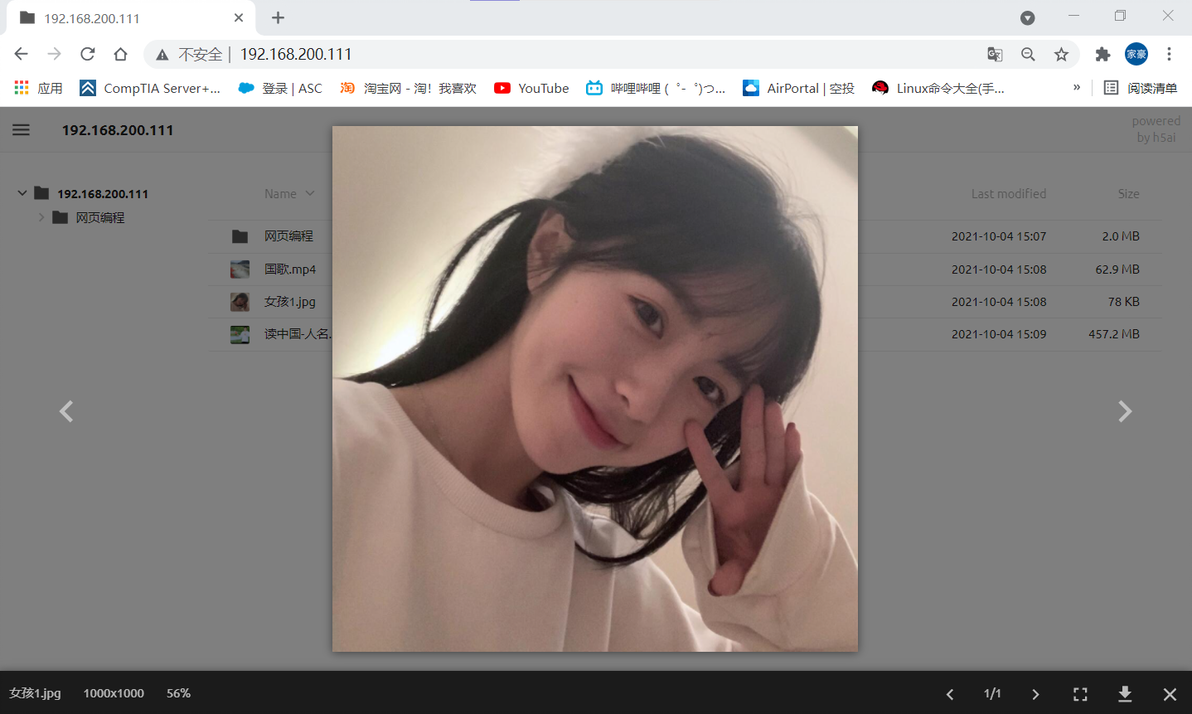 h5ai搭建-一个轻量级的目录索引程序 - 哔哩哔哩