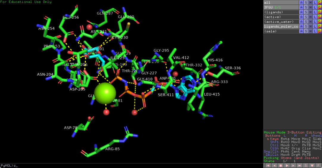 PyMOL 03 pymol-03
