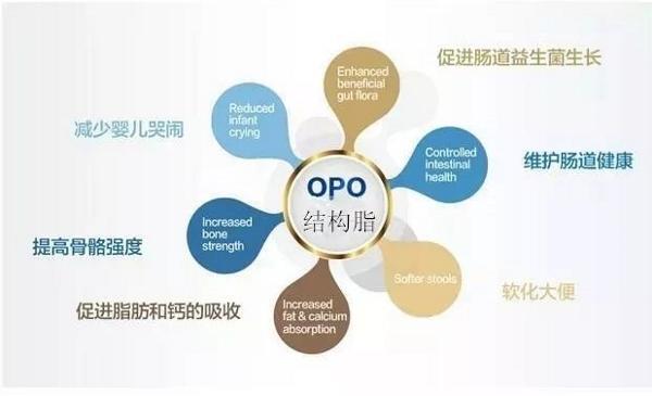opo是什么？奶粉中的opo作用和功效是什么？ - 哔哩哔哩