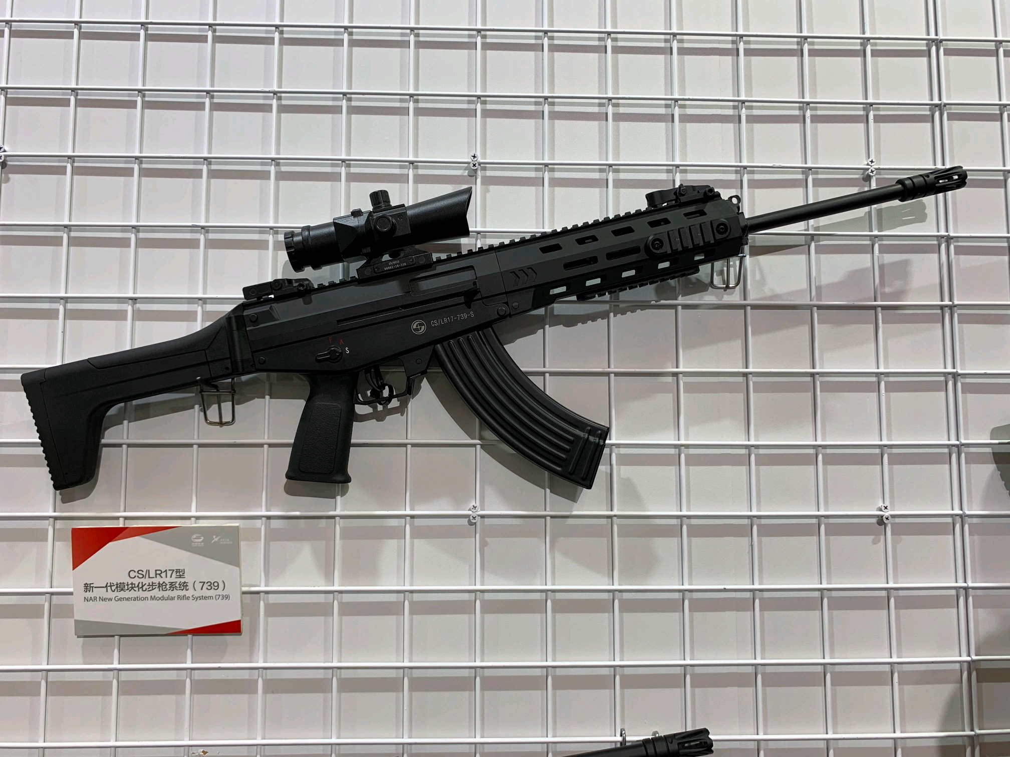 新型国产步枪先行者（迫真）——CS/LR—17/18 - 哔哩哔哩