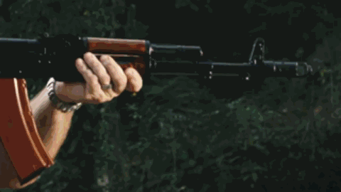 俄罗斯最新AK205步枪亮相阅兵式！阅兵5款步枪全盘点！｜轻武专栏 - 哔哩哔哩