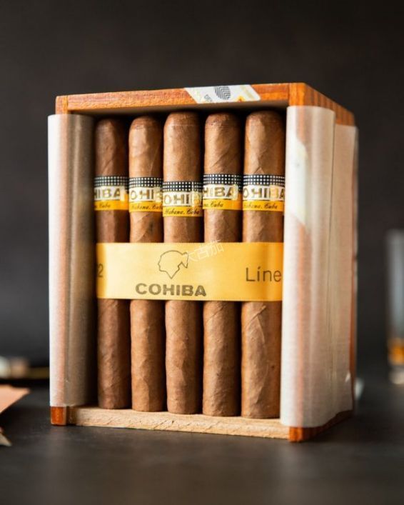 高希霸世纪2号 Cohiba Siglo II - 哔哩哔哩