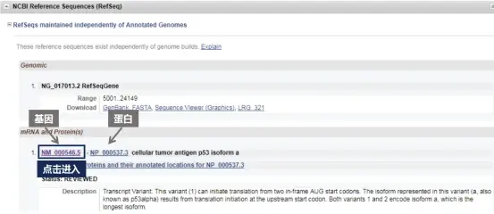 Primer Premier 6，3分钟教你完成引物设计（含软件安装） - 哔哩哔哩