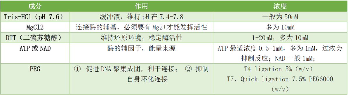 DNA Ligation - 哔哩哔哩