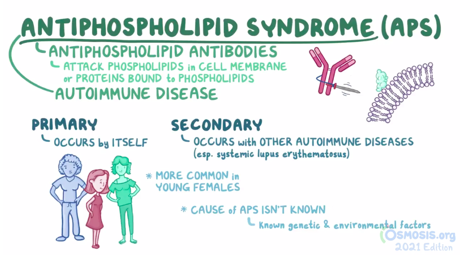 【Osmosis】抗磷脂综合征 Antiphospholipid Syndrome（中英编译） - 哔哩哔哩