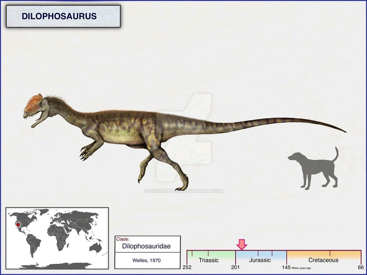 它们是家族里的巨人:各类兽脚亚目恐龙中的最大 - 哔哩哔哩